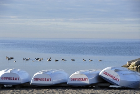 Beach Arts Scene – Beach Metro Community News