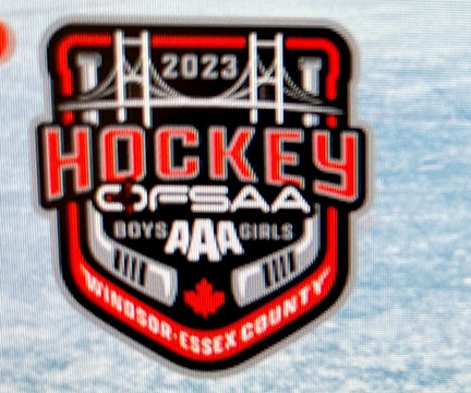 Local boys and girls high school hockey teams unable to advance to ...