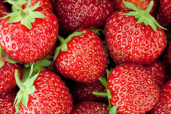 The Main Menu: Ontario strawberry season is set to begin – Beach Metro ...