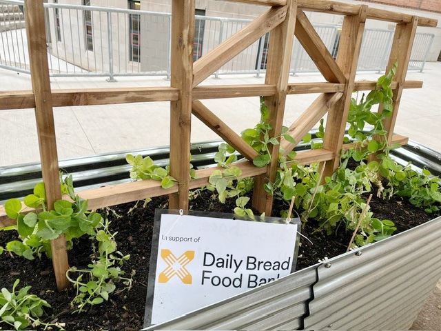 Support for East Toronto's Grace Pascoe food bank includes produce from ...