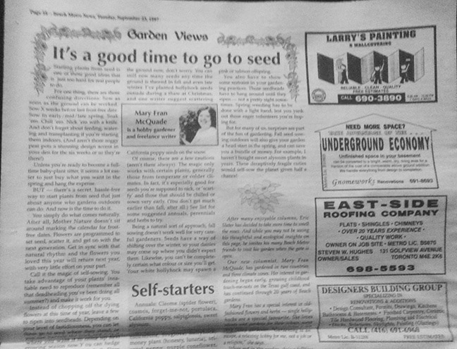 Garden Views: Celebrating the gardens of the Beach for more than 20 ...