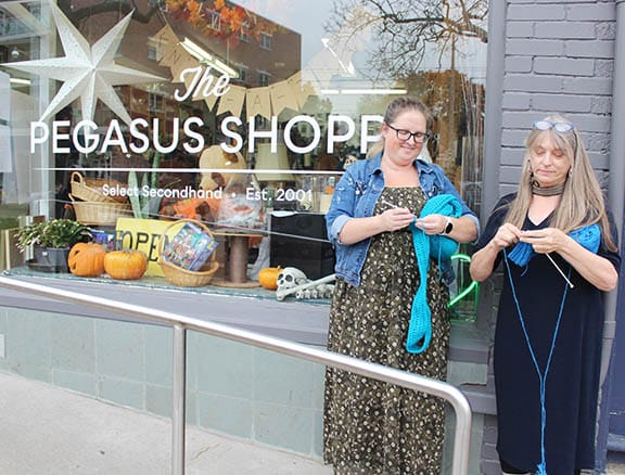 Nocturnal Knit-A-Thon fundraiser slated for The Pegasus Shoppe on ...