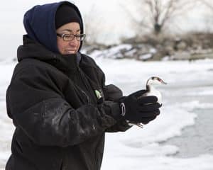 Tiny, bright-eyed and endangered – Beach Metro Community News