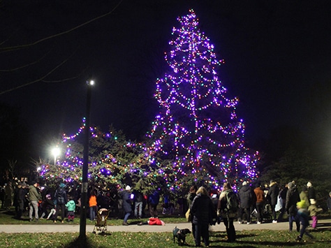 Number of tree lighting ceremonies planned to welcome the holiday ...