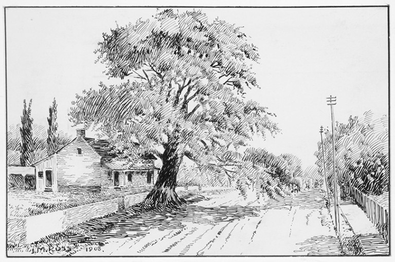 Reel Beach: Remembering Alexander Muir and The Maple Leaf Forever ...